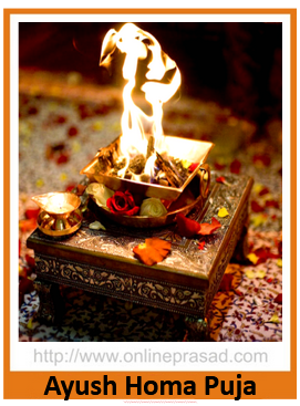 Ayush Homam Puja – OnlinePrasad.com