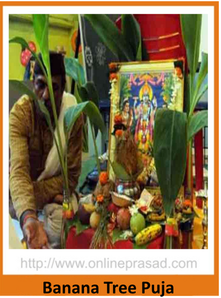 Banana Tree Puja – OnlinePrasad.com